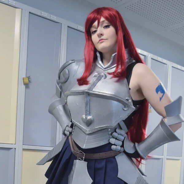 Erza Scarlet Fairy Tail Mx