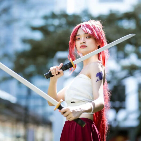 Erza Scarlet Fairy Tail Mx